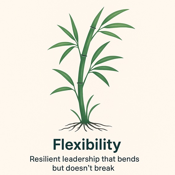 ProjectManagement.com - Pillar 6 — Flexibility