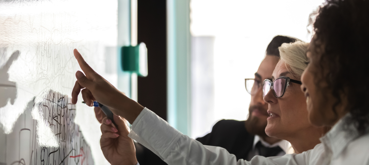 ProjectManagement.com - No role in DAD for an Analyst?