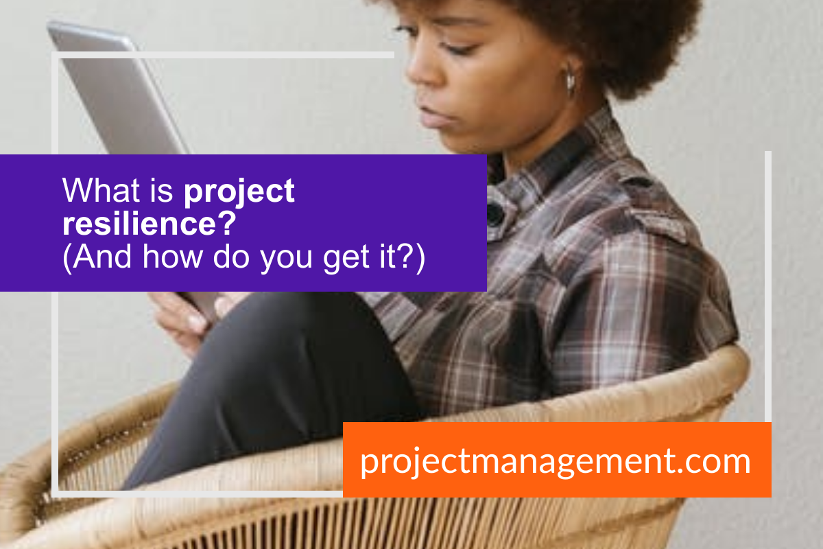 ProjectManagement.com - Trends and Emerging Practices in Project Risk ...